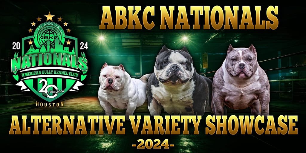 American Bully breed varieties to be showcased in ABKC National ...